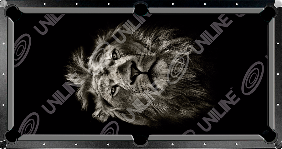 14001020 – Uniline.com.co